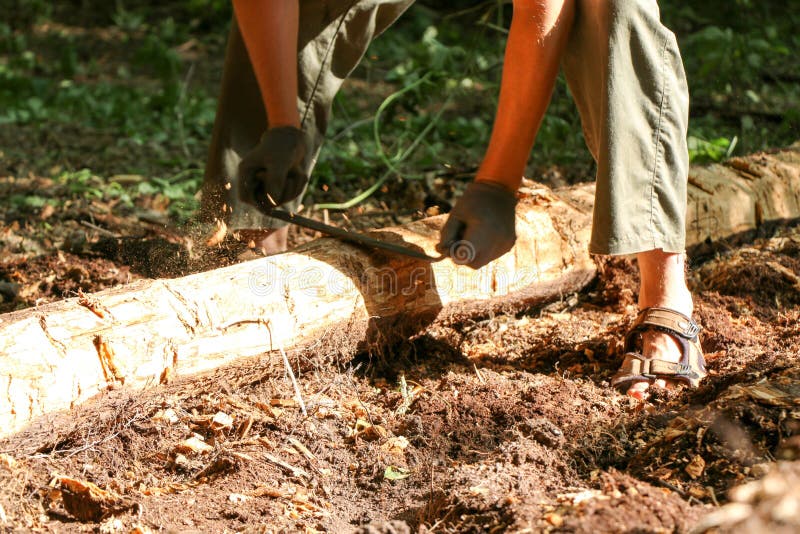 Hands of a Carpenter Planed Wood, Workplace Stock Image - Image of ...