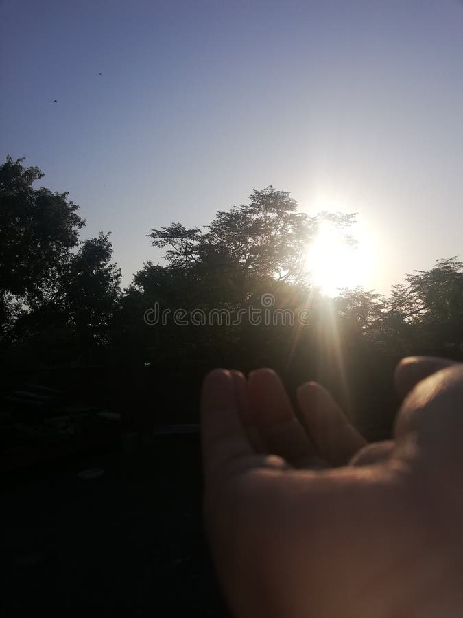 Hands Catch Light Morning View Sunlight Trees Stock Photo - Image of ...
