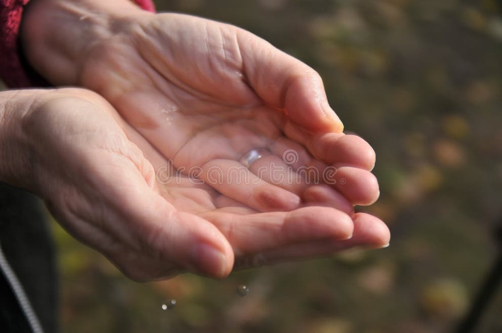 Hands Catching Drops of Water Stock Photo - Image of details, water ...