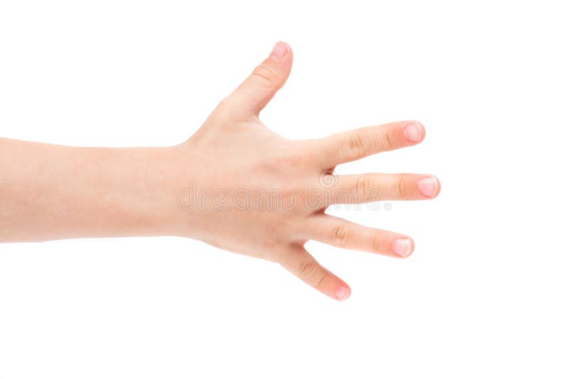 Hands of the Child Isolated Stock Image - Image of person, male: 86588223