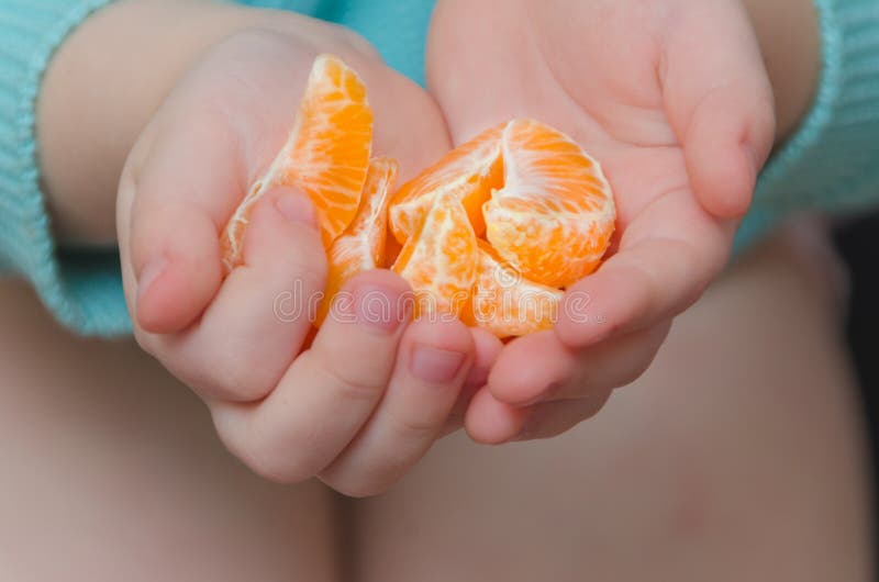 In the Hands of the Child Mandarin Slices Stock Photo - Image of ...