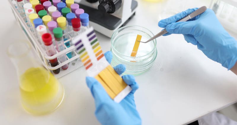 Comprehensive Laboratory Analysis Utilizing Test Strips Along with ...