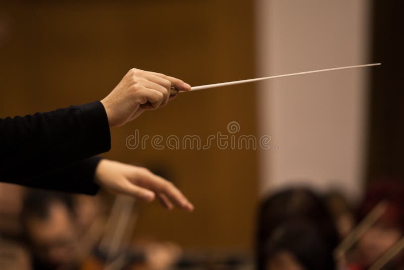 Hands of conductor stock photo. Image of musician, director - 67931890