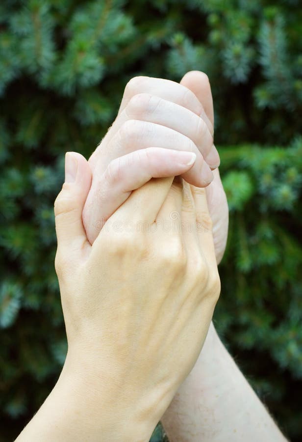 Hands in confidence stock photo. Image of holding, trust - 3040888