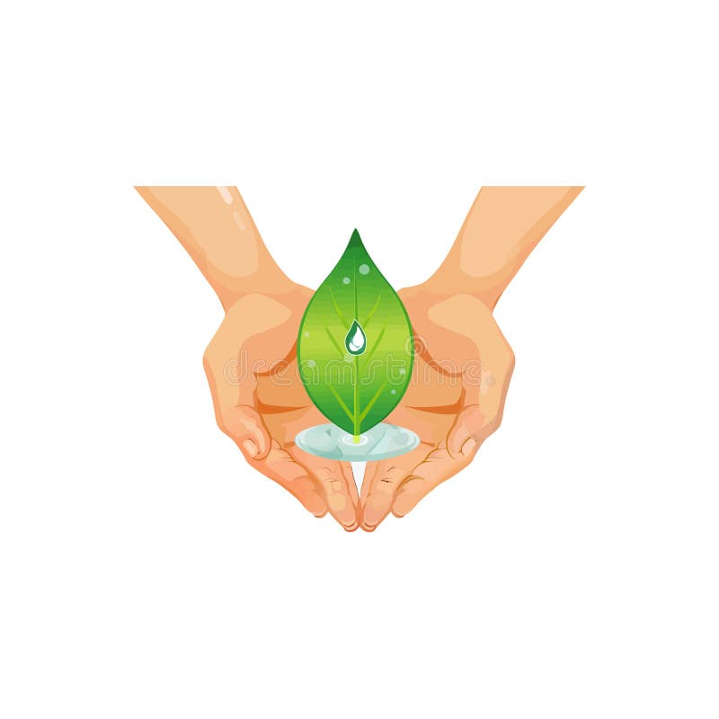 Hands Cradling a Leaf with Water Droplet. Vector Illustration Design ...