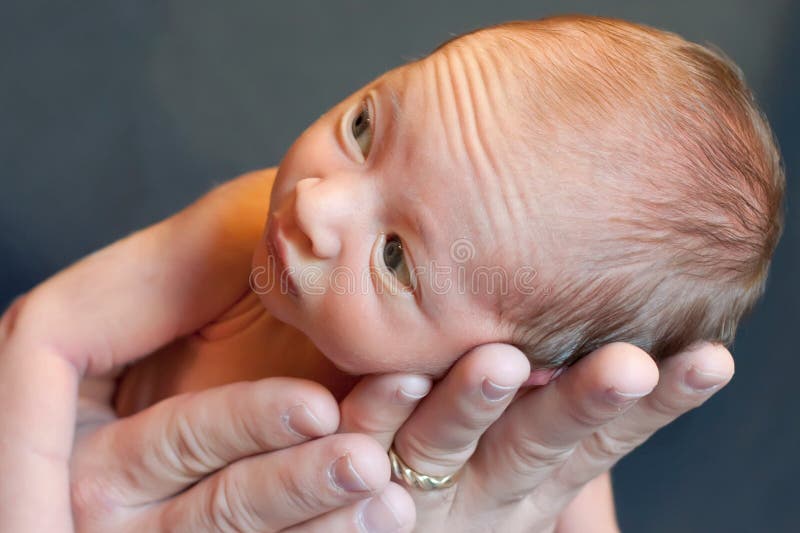 Hands Cradling a Red Heart for Health Care, Love and Organ Donation ...