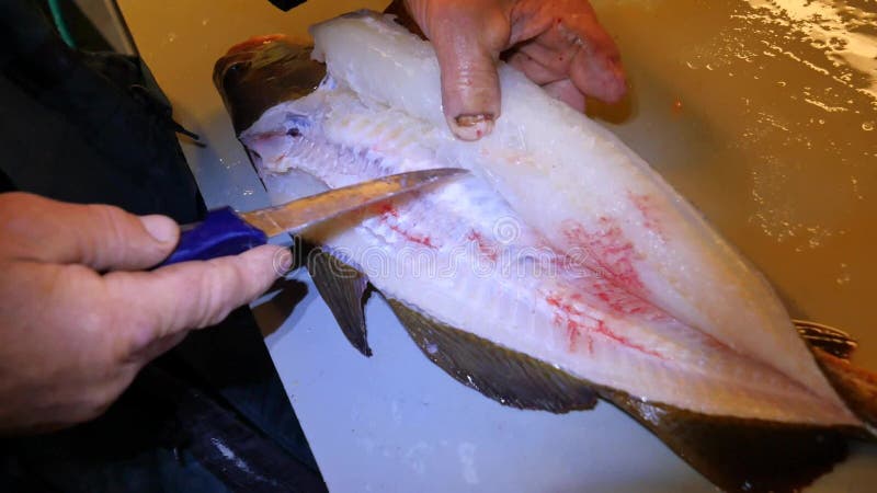 Bloody Fingers Halloween Hot Dog Stock Video - Video of hand, witch ...