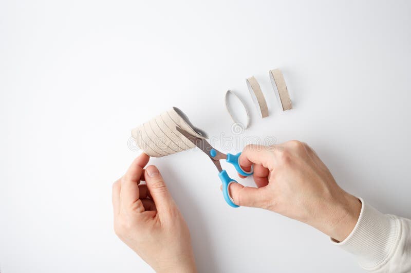 Hands Cutting Cardboard Toilet Paper Roll into Even Segments for DIY ...
