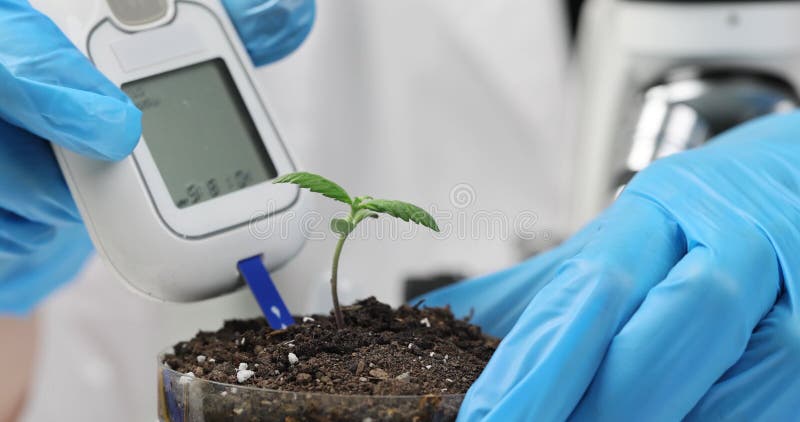 Hands with a Device for Ph Soil Checking, Close -up Stock Video - Video ... Hands with a Device for Ph Soil Checking, Close -up Stock Video - Video ...