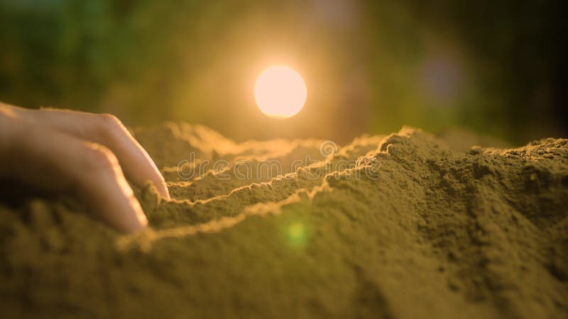 Hands Digging into the Soil in a Serene Garden Setting Stock Footage ...