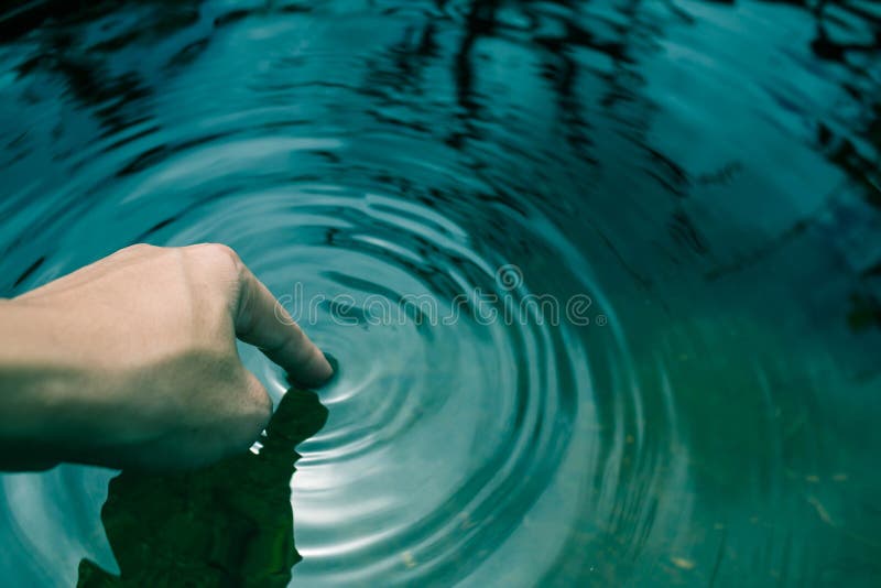 Hands Dipped in Blue Water with Chamomiles Stock Photo - Image of macro ...