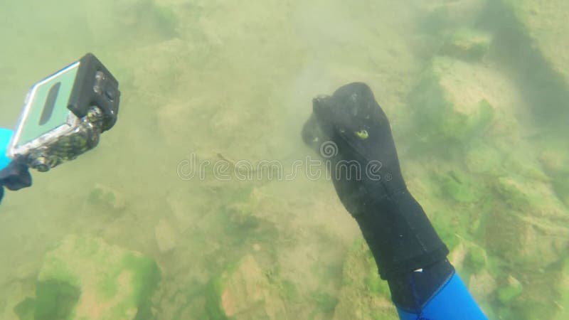 Hands of Diver with Camera Touching Bottom of Stock Footage - Video of ...