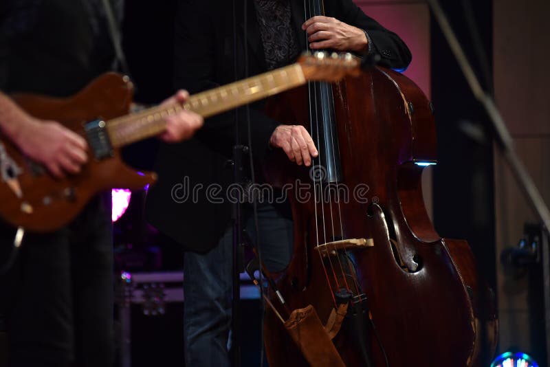 Hands of Double Bass Player Playing Live on Instrument Strings Stock ...