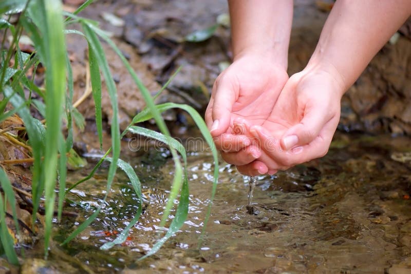 Hands Draw Water from the Spring Stock Image - Image of plenty, healthy ...