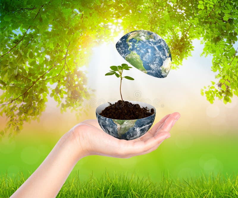 Hands with earth and tree stock image. Image of nasa - 40298465