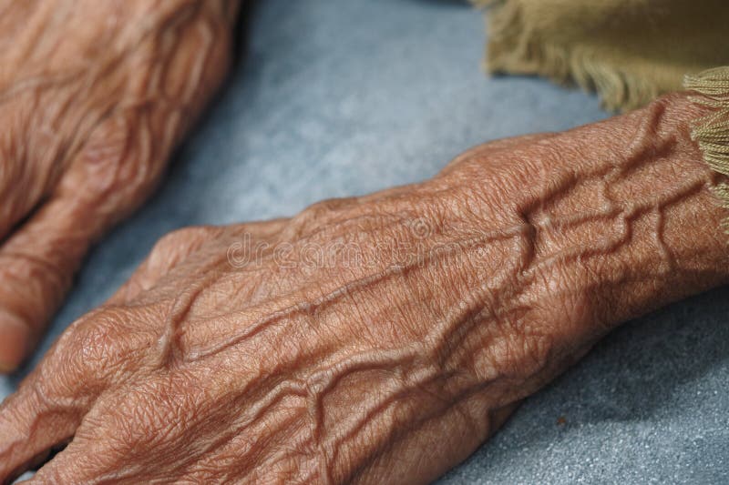 Elders Hands Showing the Passage of Time in Detailed Texture Stock ...