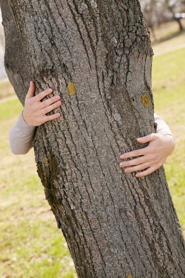 Hands embracing tree stock photo. Image of park, hugging - 19550104
