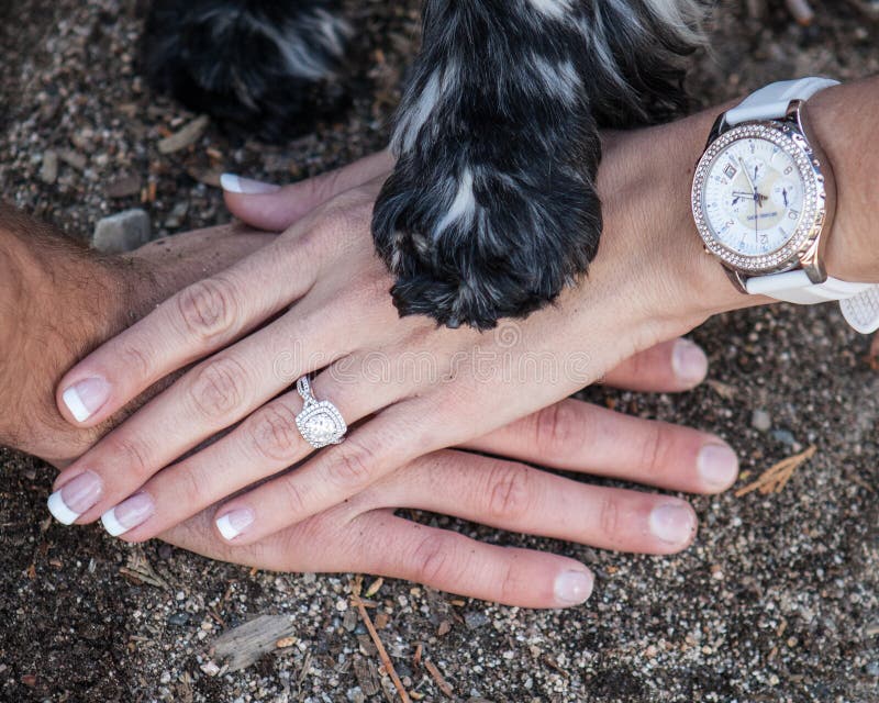 Hands with Engagement Ring and Dogs Paw Stock Image - Image of fiance ...
