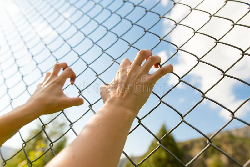 Hands on the Fence Raised in the Blue Sky Stock Photo - Image of syria ...