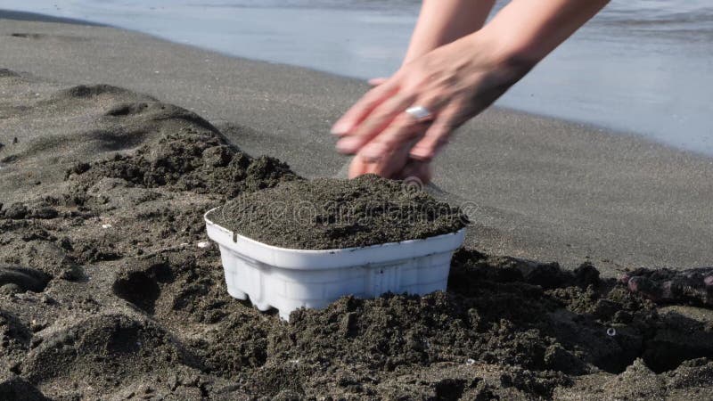 Hands Fill a Plastic Shape Mold with the Sand at the Beach during ...