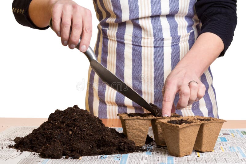 Bunch dirty earthy peat stock photo. Image of isolated - 53001598