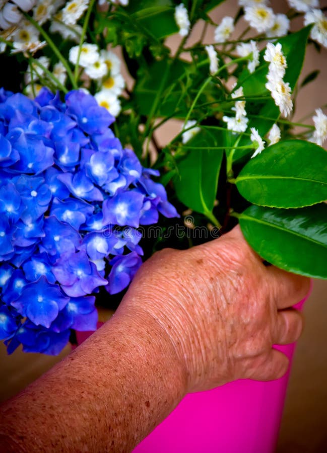 Hands and flowers stock photo. Image of hand, grandmother - 32440228