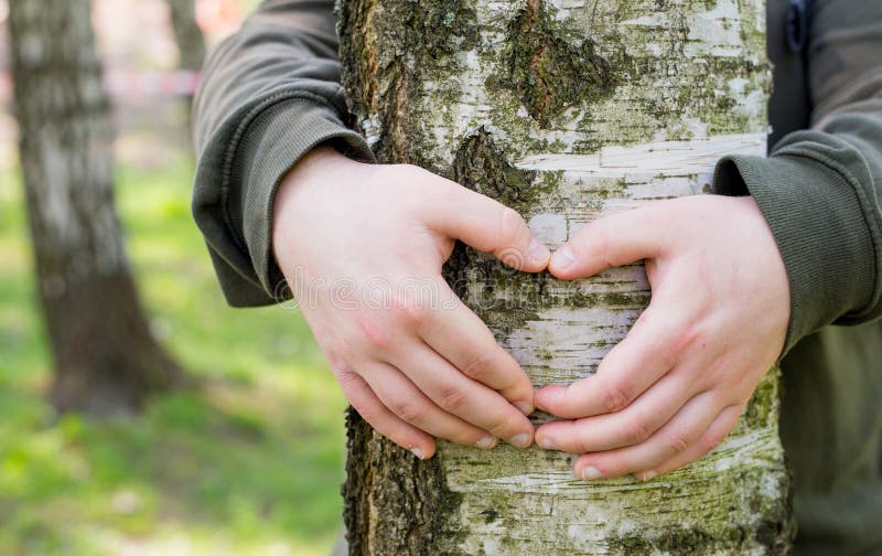 Hands Forming a Heart Shape Around a Big Tree. Man Hugging a Big Tree ...