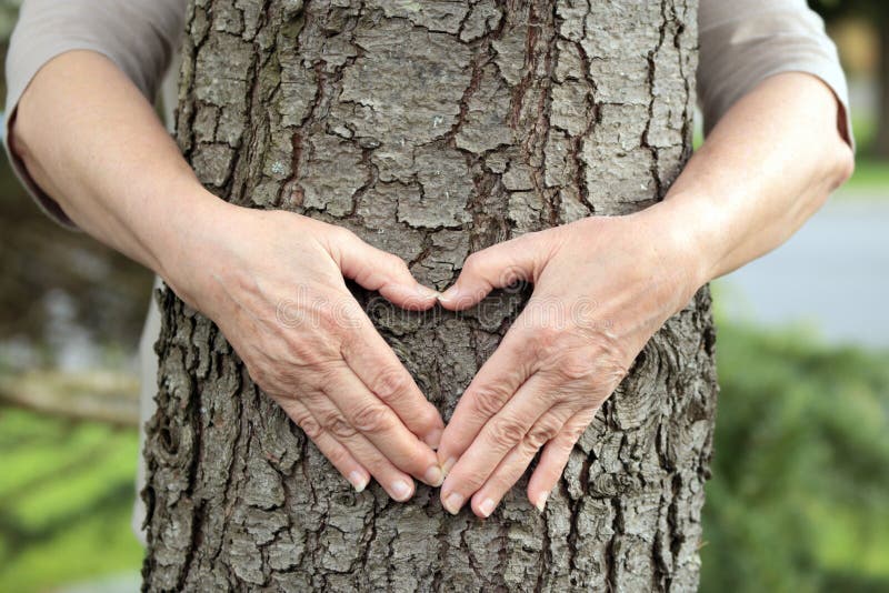 Two Hands Forming a Heart Shape Around a Tree Stock Photo - Image of ...