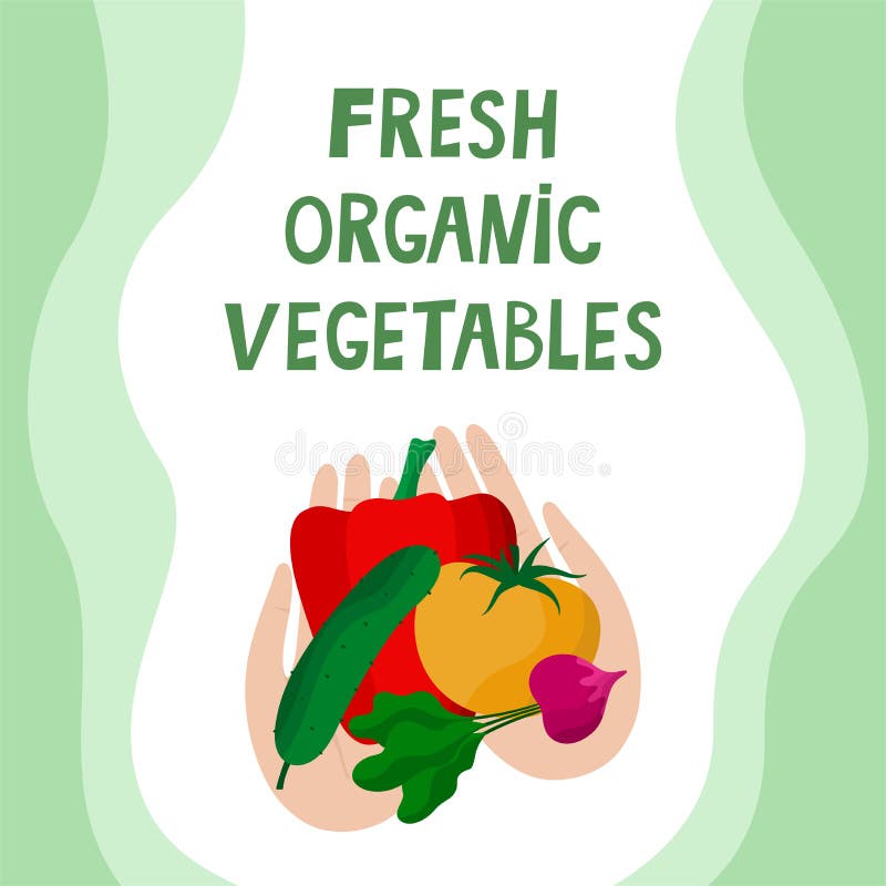 Fresh Organic Vegetables in Hands.Vector Illustration, Flat Design ...