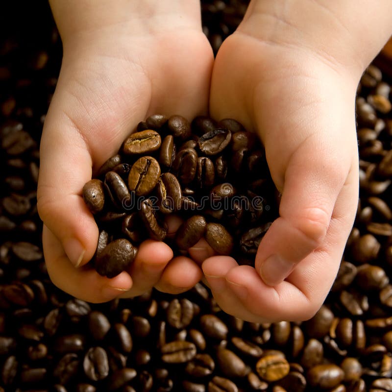 Hands full of coffee stock image. Image of freshly, arabica - 5030947