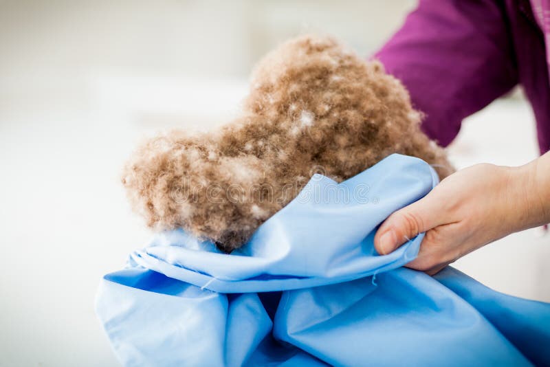 Hands Full Downs Stock Photos - Free & Royalty-Free Stock Photos from ...