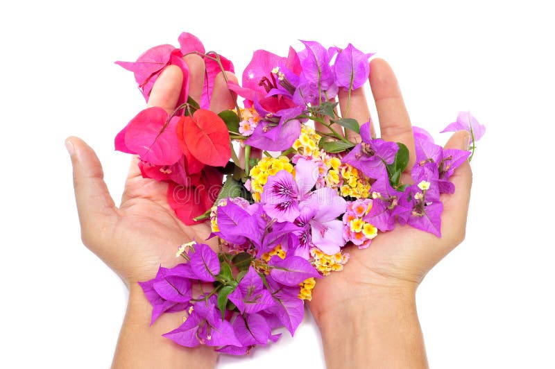Hands full of flowers stock image. Image of seasonal - 20228473