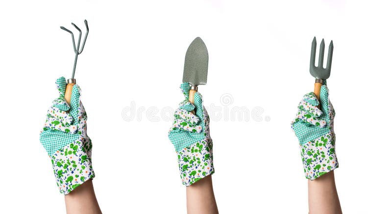 Hands in Garden Gloves Holding Gardening Tool Stock Photo - Image of ...