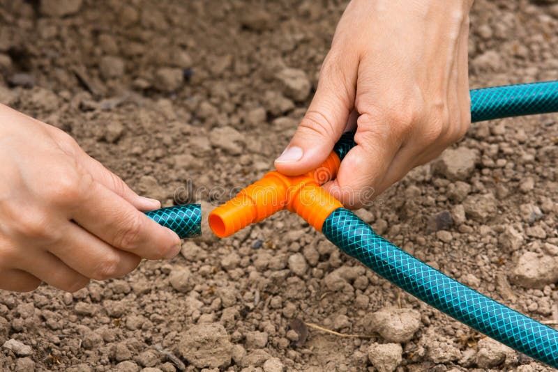 Hands of Gardener Connecting Hoses for Irrigation Stock Image - Image ...