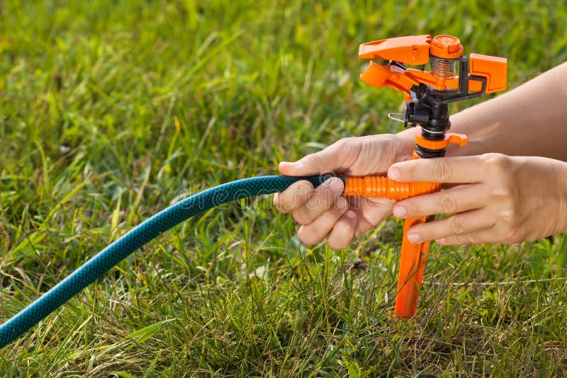Hands of Gardener Installing Sprinkler for Irrigation of Lawn Stock ...