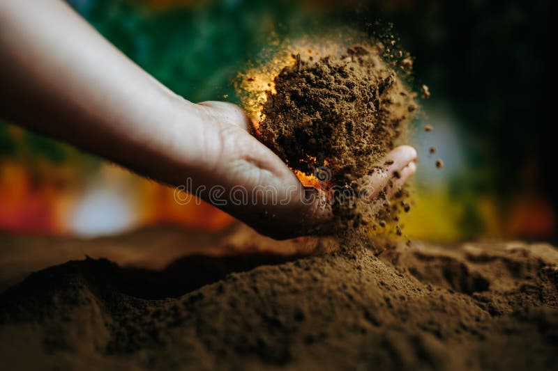 Hands Releasing Soil into the Ground during Gardening Activity Stock ...