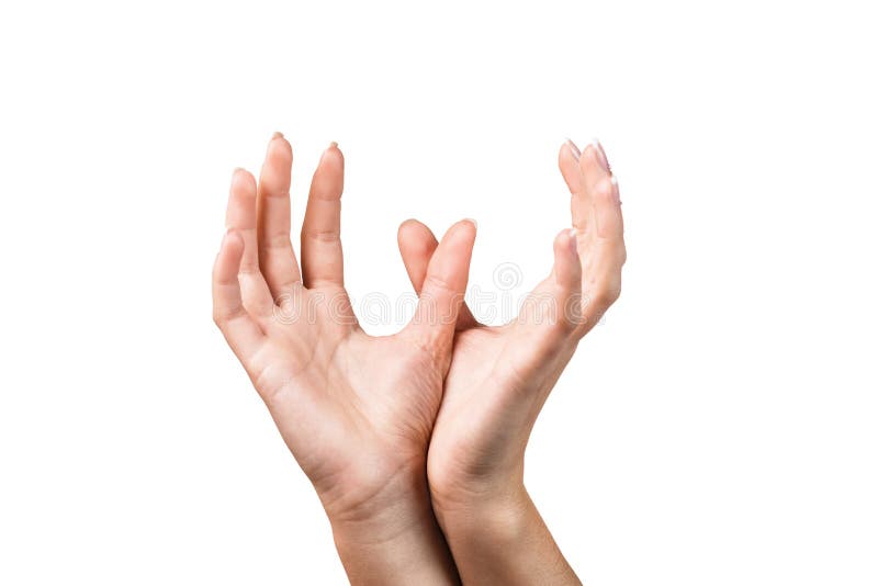 Bird Gesture Stock Images - Download 703 Royalty Free Photos