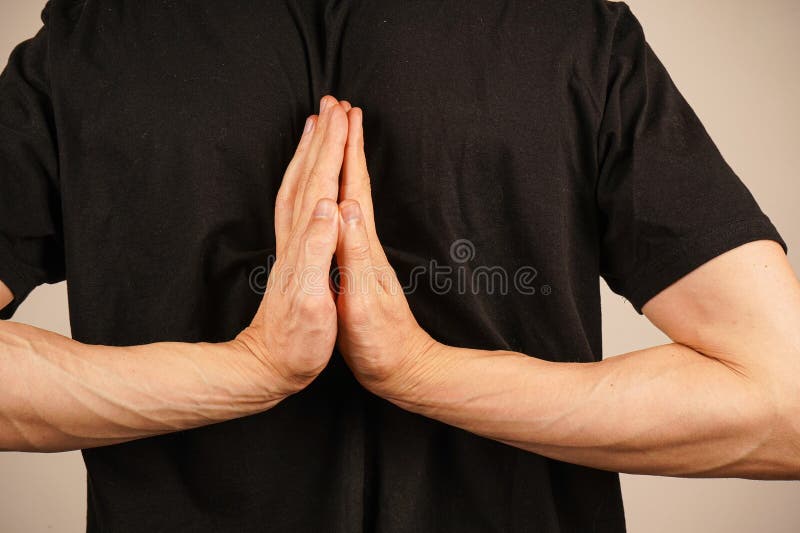 Hands in a Gesture of Supplication. Palms Folded Together. a Gesture ...