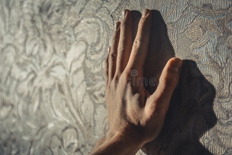 Hands in the sunlight stock image. Image of faith, caucasian - 99204747