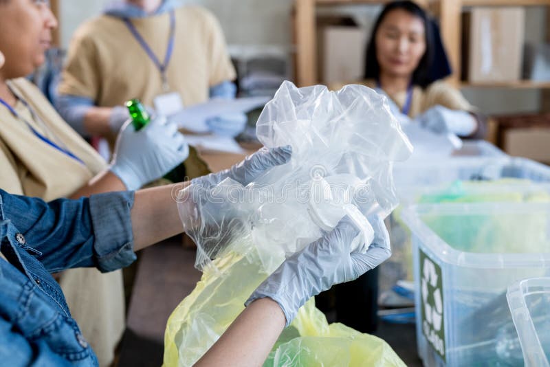 Hands of Gloved Volunteer Sorting Waste Stock Image - Image of ...