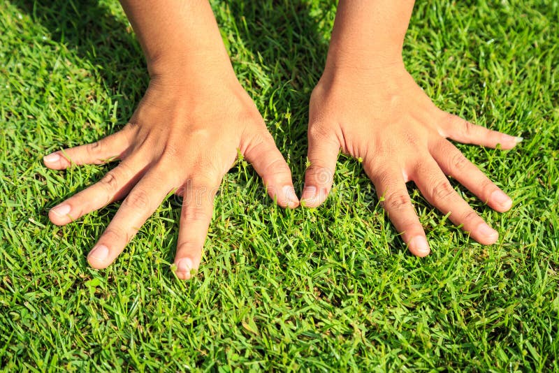 Hands on green grass stock photo. Image of healthy, view - 47494088