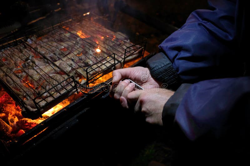 Hands Grilling Meat stock photo. Image of party, garden - 102347828