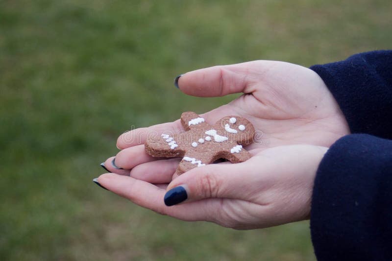 Hand Holding Christmas Gingerbread Cookies Stock Image - Image of hands ...