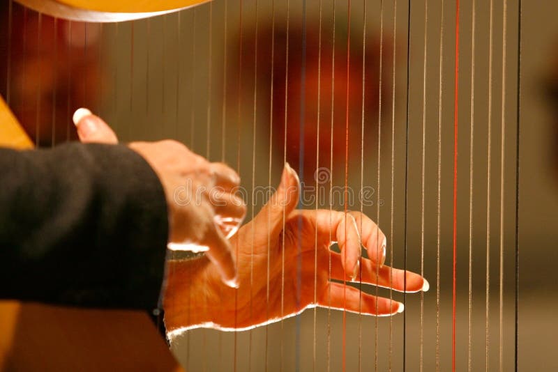 Hands on harp stock photo. Image of human, concert, heavenly - 23915150