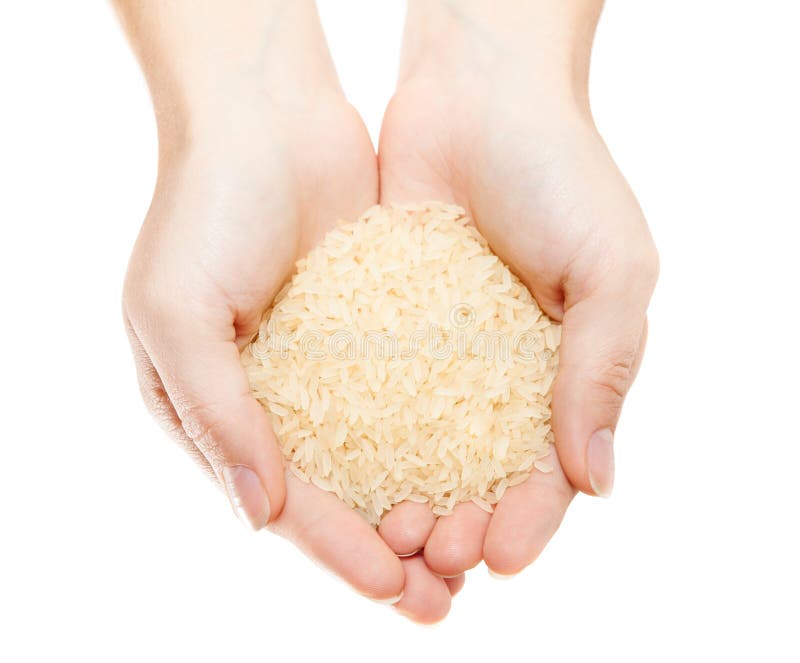 Hands with heap of rice stock photo. Image of figs, food - 27110758