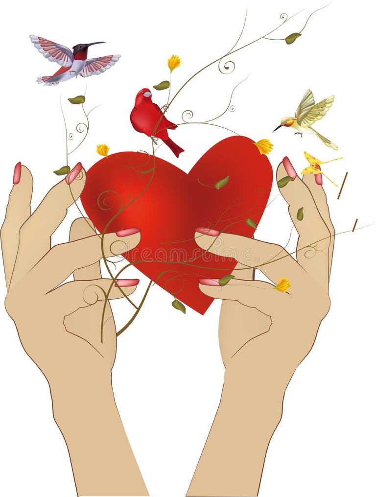 Hummingbird Heart Stock Illustrations – 463 Hummingbird Heart Stock ...