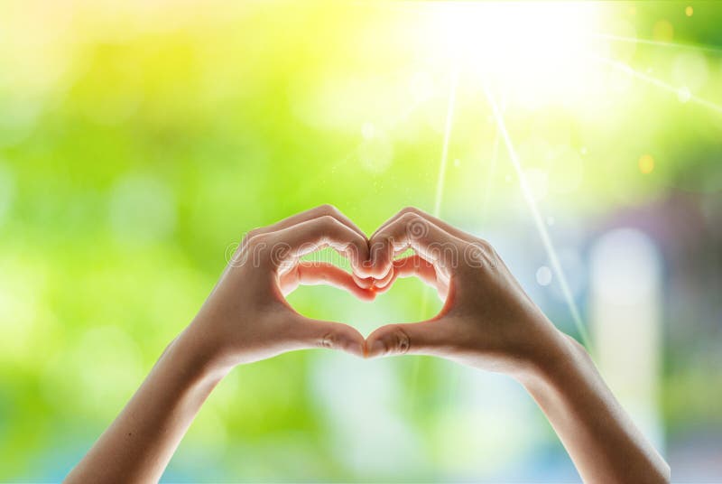Hands are Heart-shaped Beautiful Stock Photo - Image of holding, hands ...