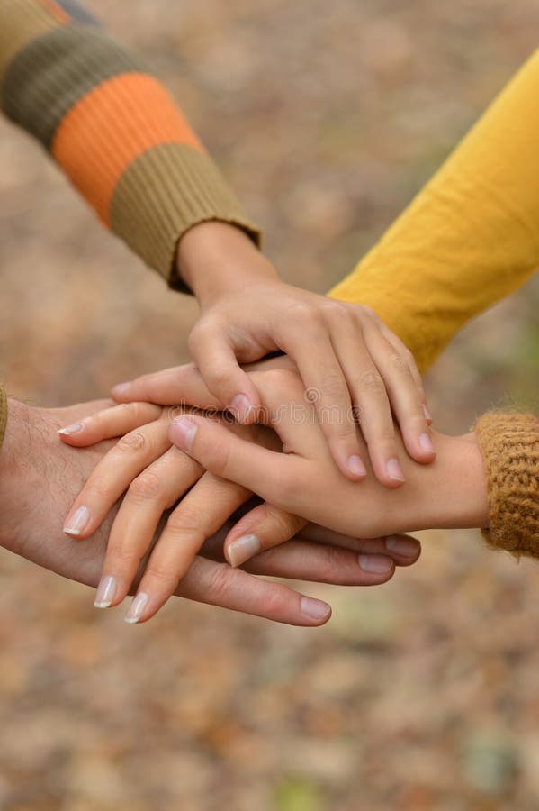 Hands held together stock image. Image of hand, elderly - 45532043