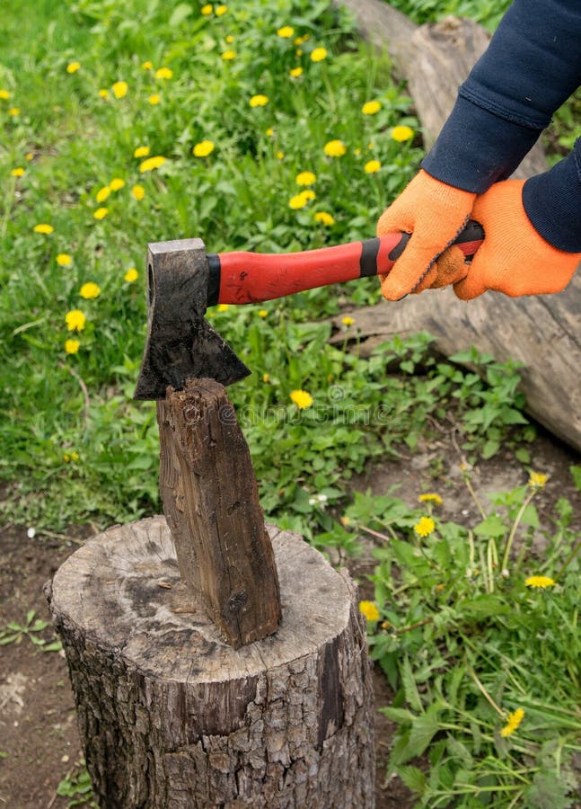 Chop wood stock image. Image of cool, firewood, camp, chops - 1418099