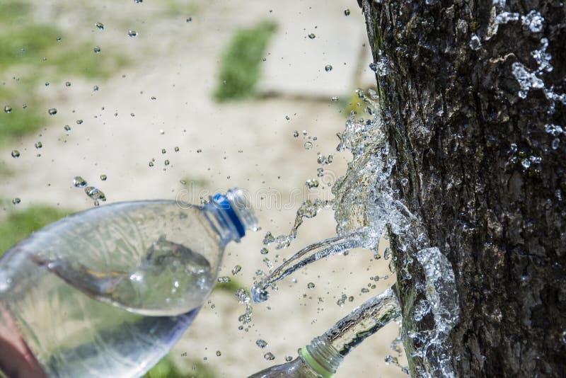 Hands Hold a Bottle of Water and Under Pressure, Sprinkle with a Jet of ...